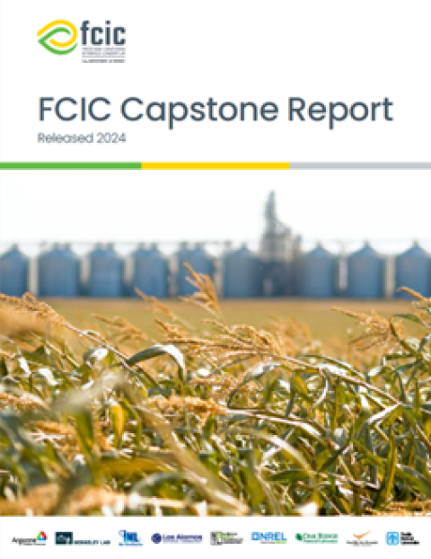 Now Available! Feedstock-Conversion Interface Consortium Capstone Report | Department of Energy